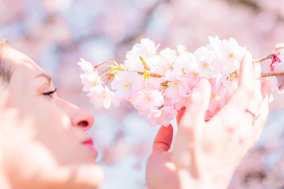 Free stock images and where to find them - The Website Mentor